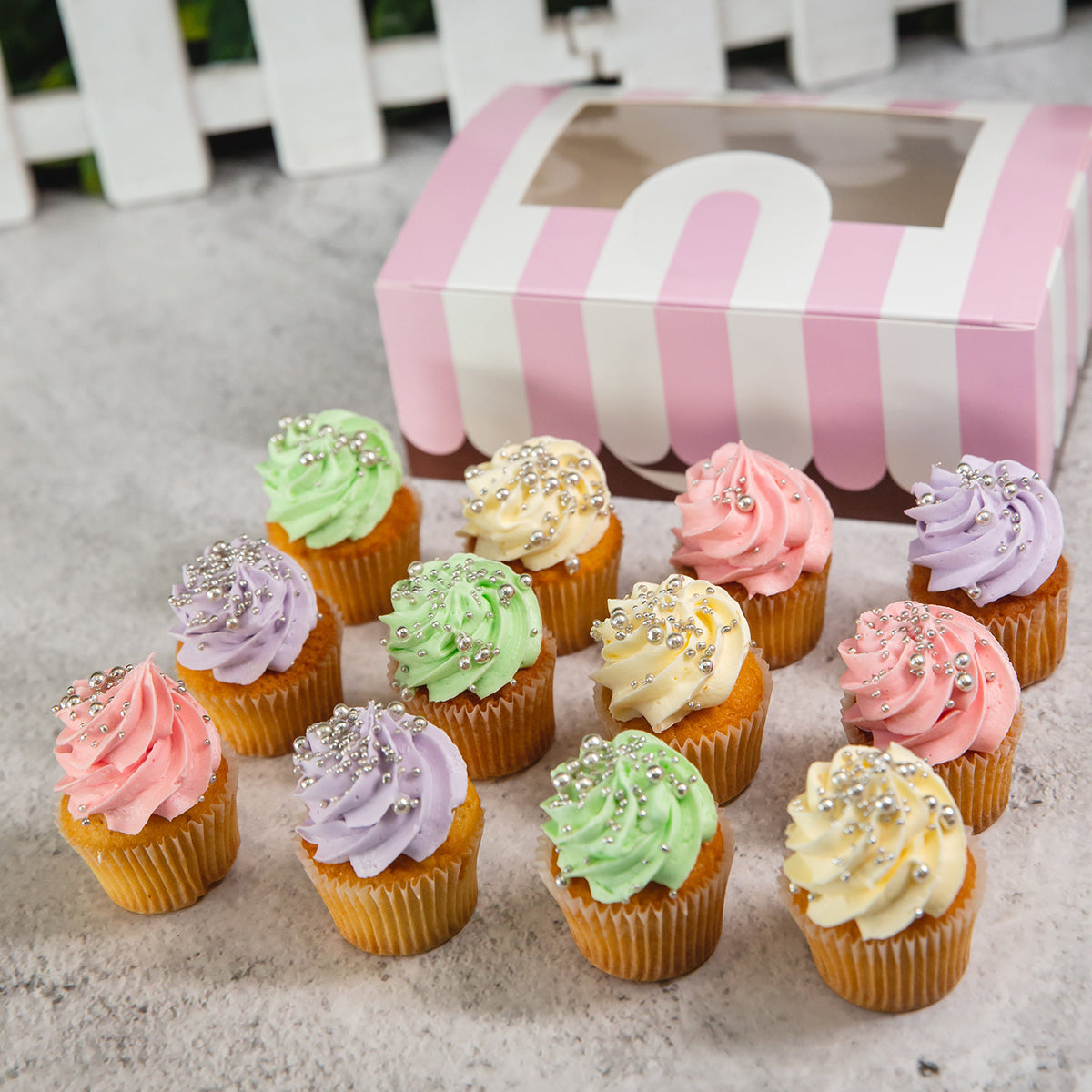 Assorted Pastels x 12 – The Cupcake Factory