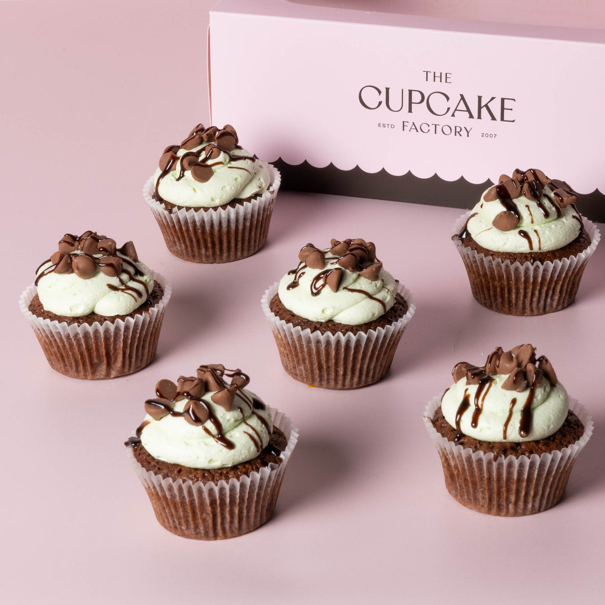 Choc Mint Drop Cupcakes – The Cupcake Factory
