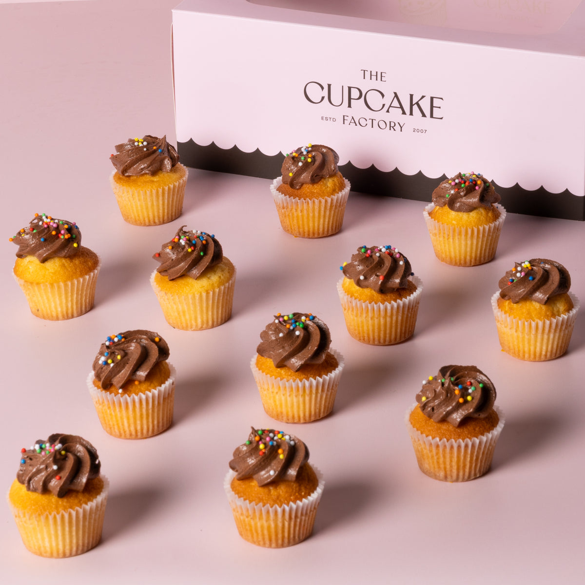 Chocolate Sprinkle Mini Cupcakes – The Cupcake Factory