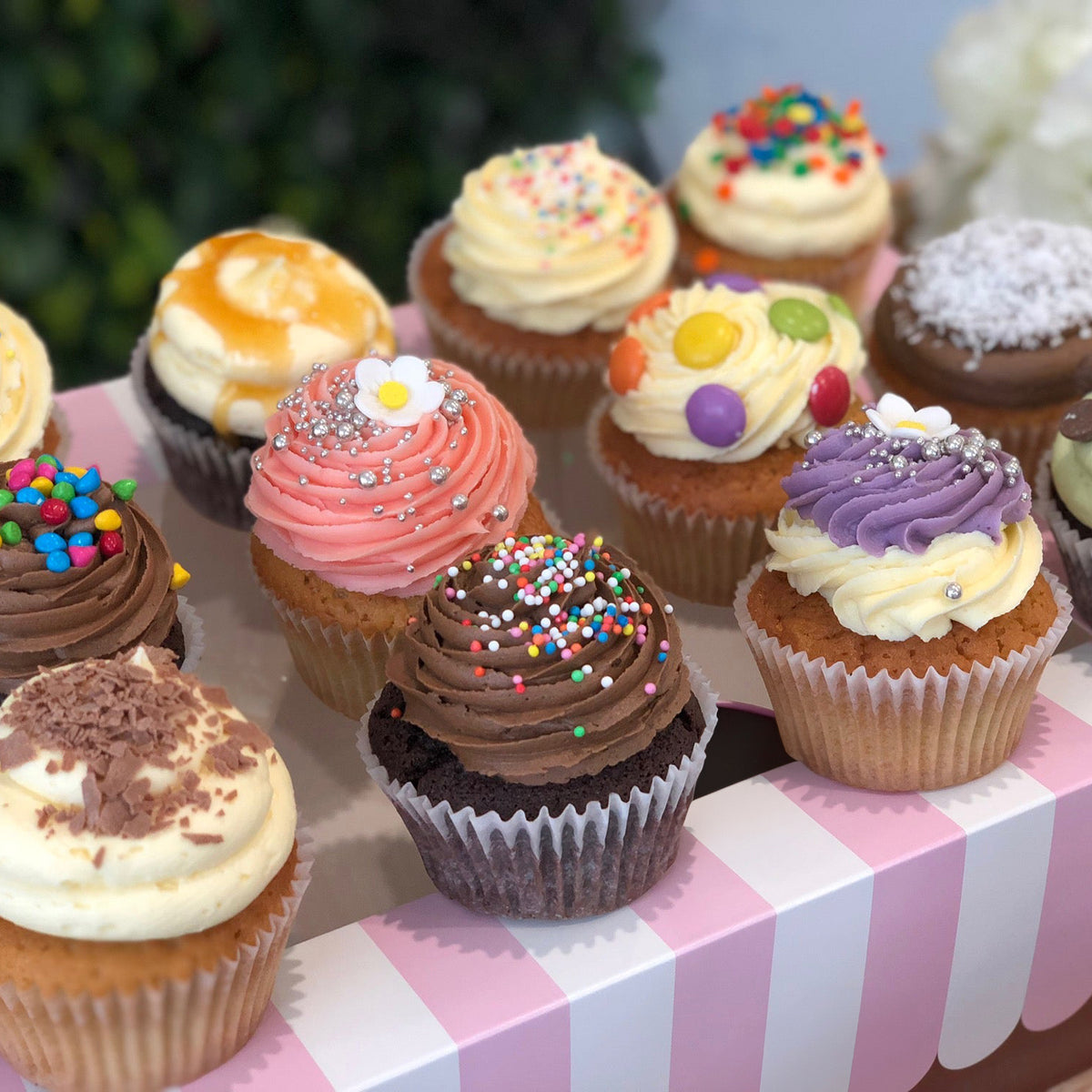 Classic Cupcakes x 12 - Regular Size – The Cupcake Factory