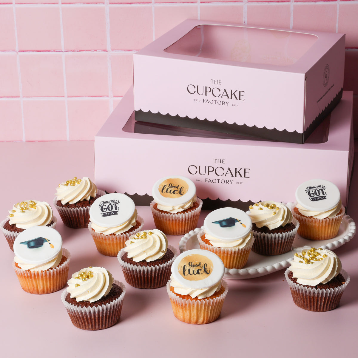Good Luck HSC Students Mini Cupcakes – The Cupcake Factory