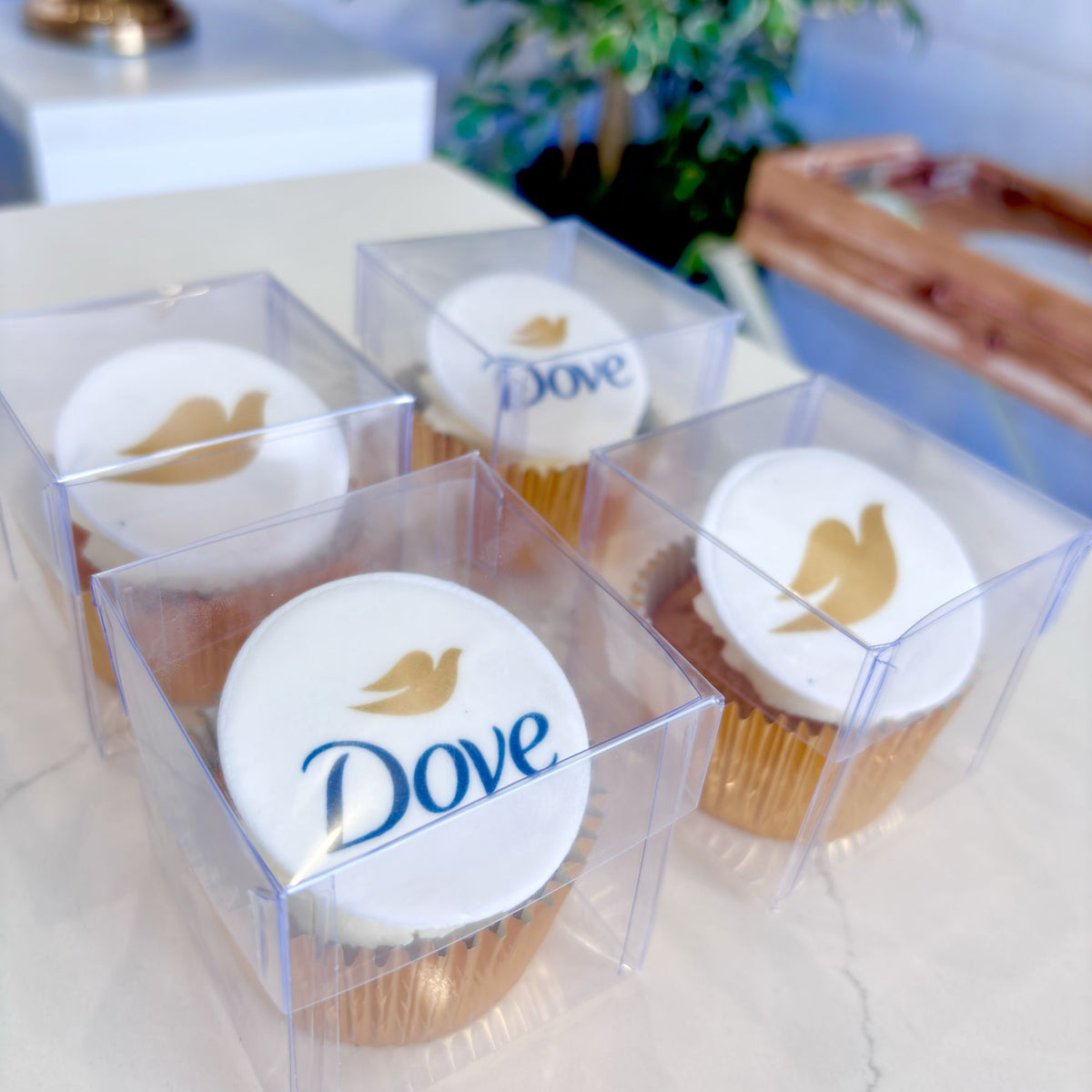 Individual Boxed Cupcakes with Large Plaque Logos – The Cupcake Factory