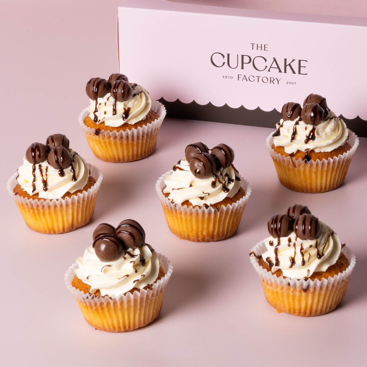 Malteser Delight Cupcakes – The Cupcake Factory