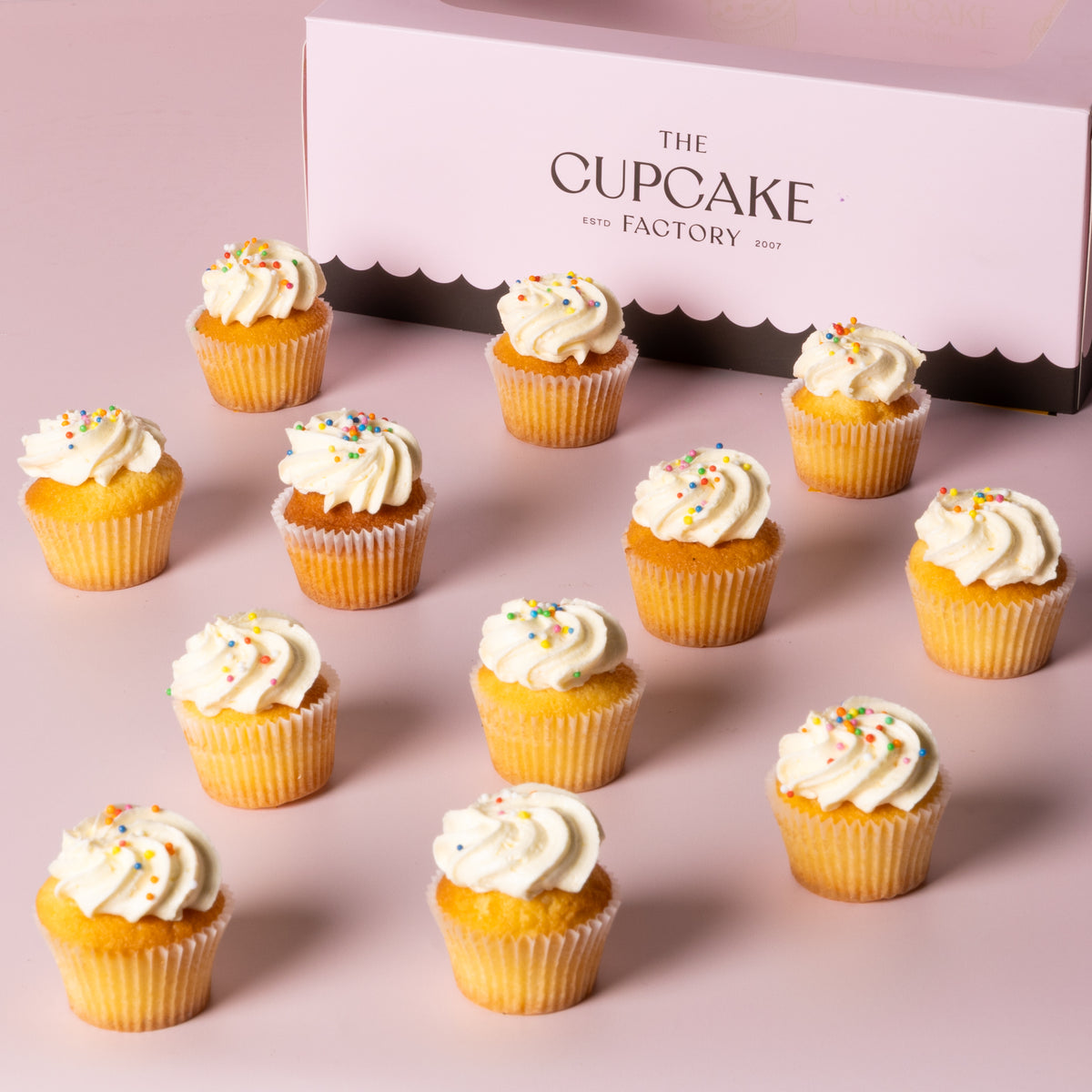 Vanilla Sprinkle Mini Cupcakes – The Cupcake Factory