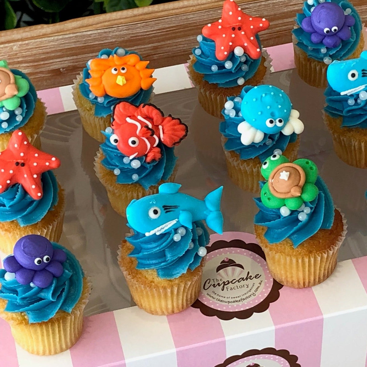 Sea creature cupcakes - 12 pack – The Cupcake Factory